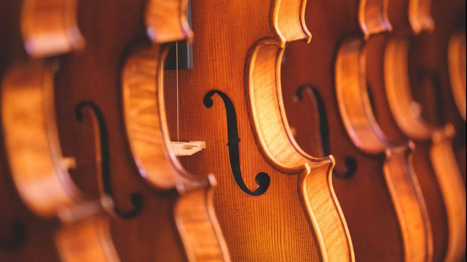 About the Makers - Cardiff Violins